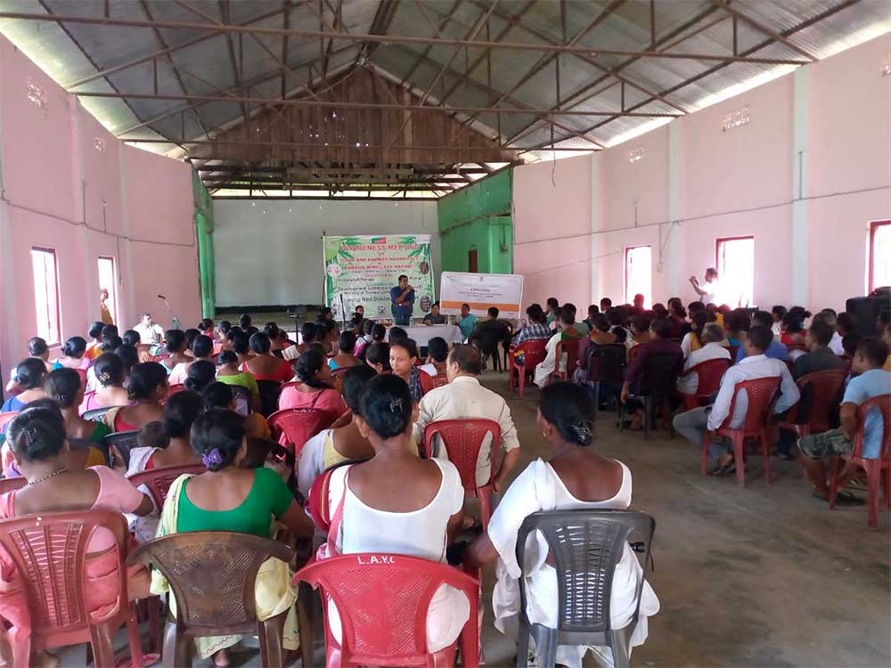 Gallery - PISA Activities