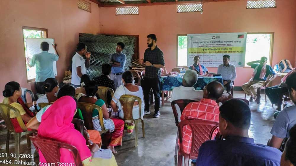 Gallery - PISA Activities